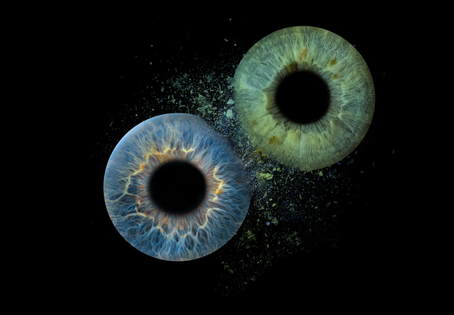 Iris Photography in Brussels - Iris Focus - David Olkarny